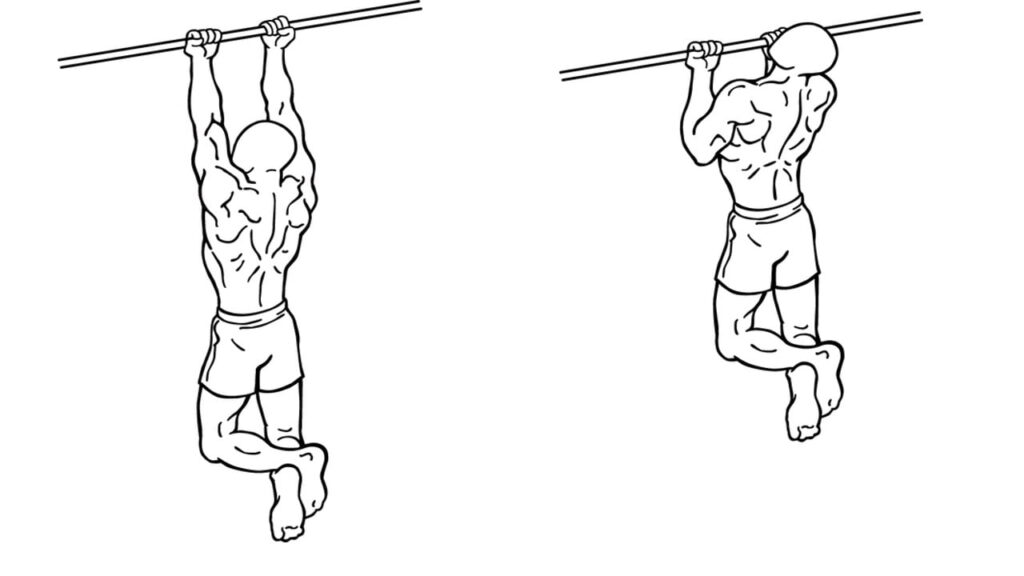 Chin-ups - The Fitness Phantom