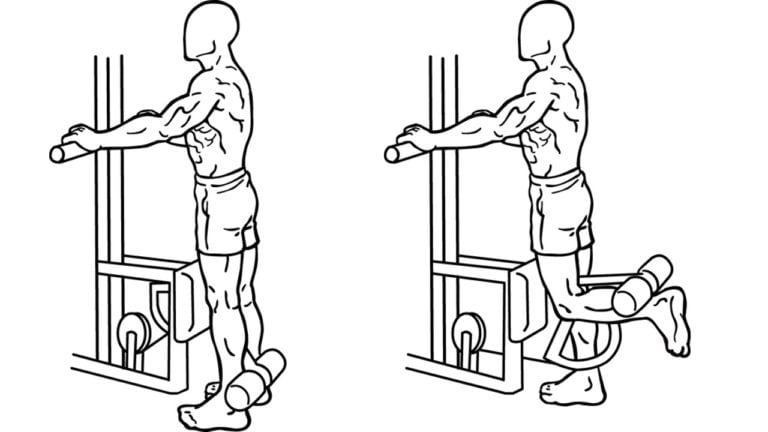 Standing-leg-curl - The Fitness Phantom
