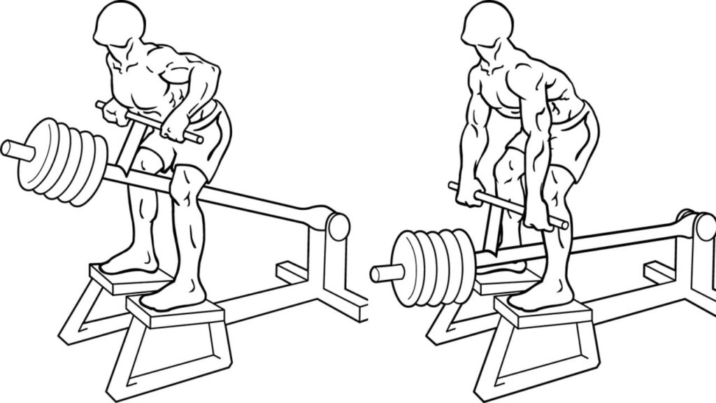 t-bar-row-machine - The Fitness Phantom