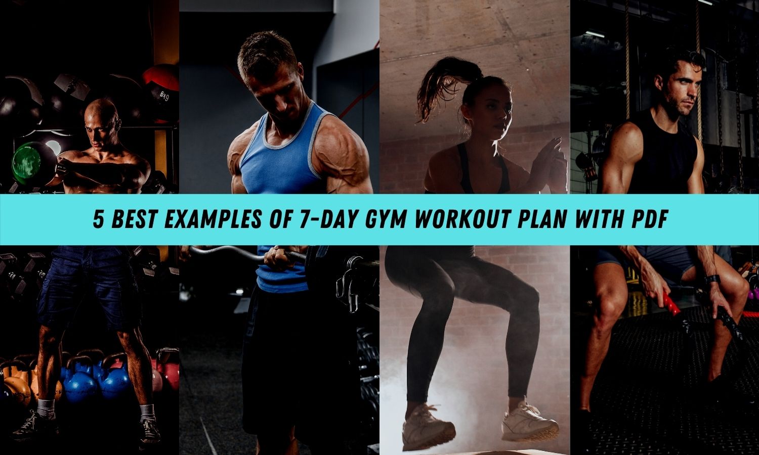 Best Home Gym Workout Plans For Free Pdf Www cintronbeveragegroup Best Home Gym Workout Plans For Free Pdf Www cintronbeveragegroup