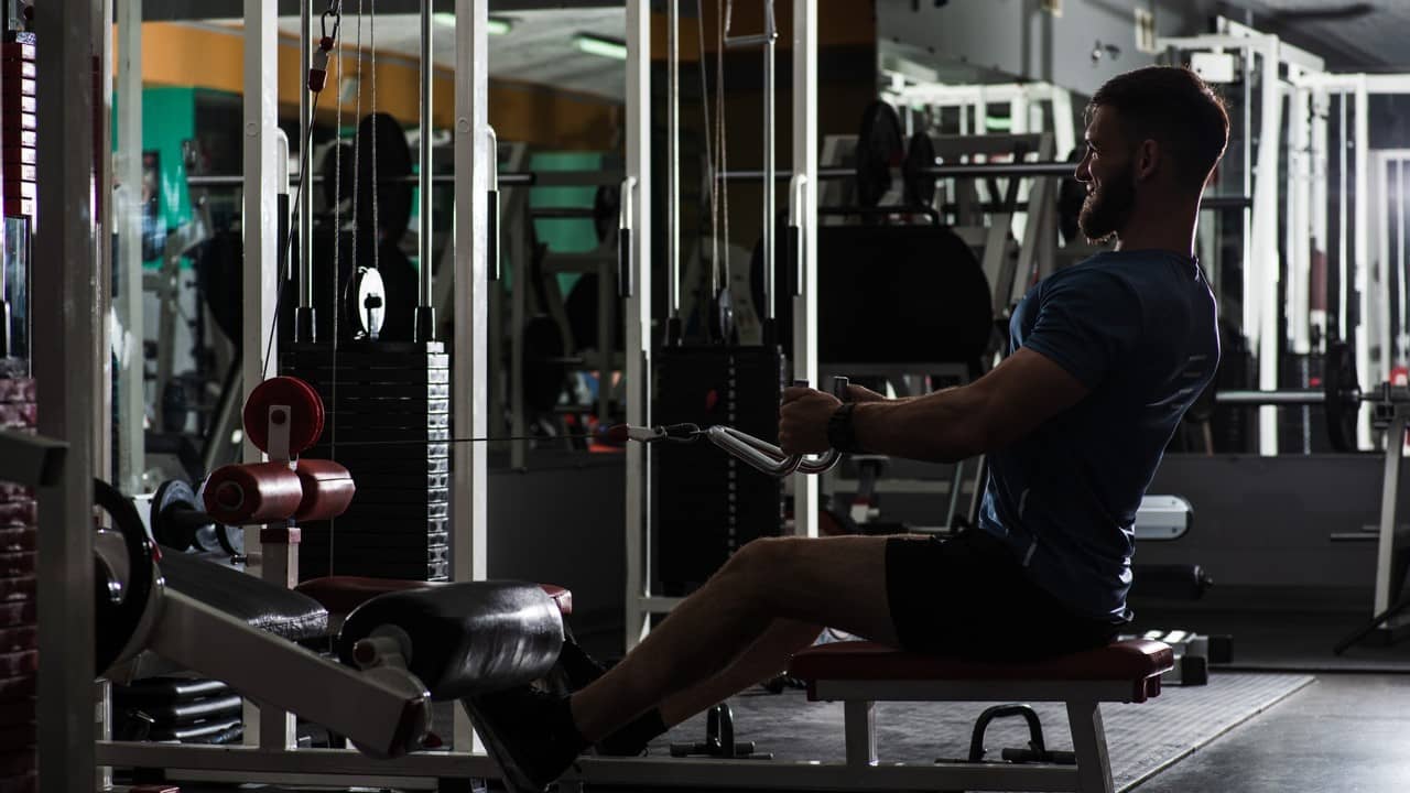 The Best 7 Day Gym Workout Plan with Free PDF - The Fitness Phantom