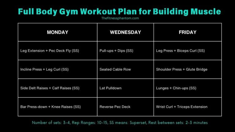 Beginner's 1 Hour Gym Workout Plan to Build Muscle W/ PDF