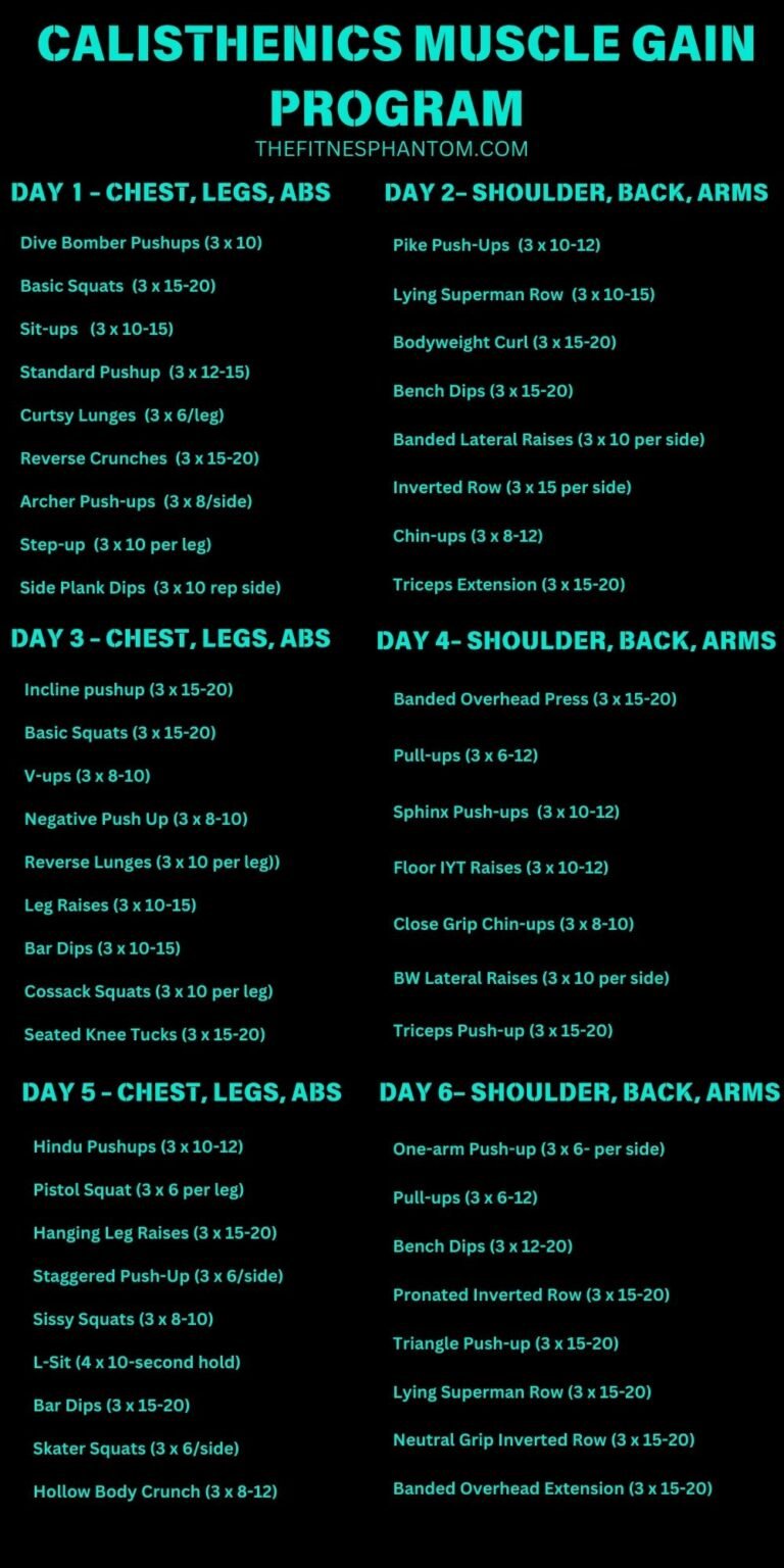 The Best Weekly Calisthenics Workout Plan (Free PDF)