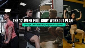 12-Week Full Body Workout Plan for Beginners (Free PDF)