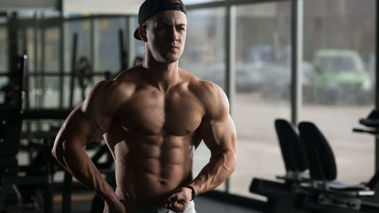 The Best 21 Day Home Workout Plan W PDF The Fitness Phantom the-best-21-day-home-workout-plan-w-pdf-the-fitness-phantom