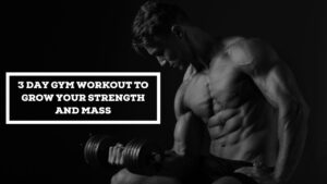 6 Day Gym Workout Schedule with PDF (PPL/Split/Cardio)