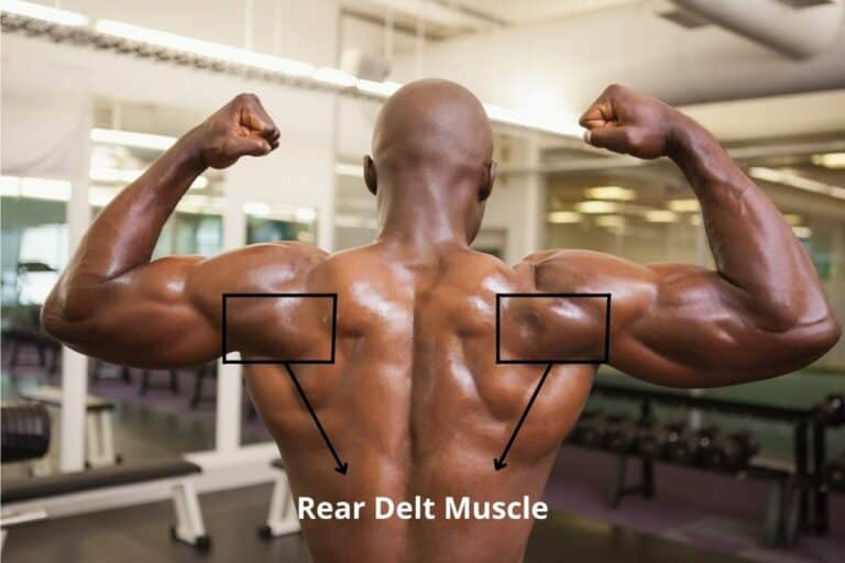 8 Best Rear Delt Dumbbell Exercises for Building Muscle