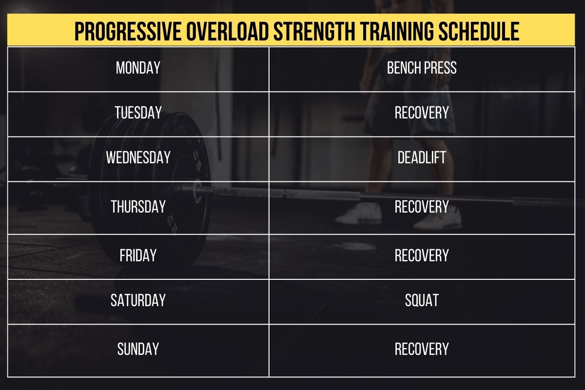 12 Week Progressive Overload Strength Training Program W PDF 12 Week Progressive Overload Strength Training Program W PDF