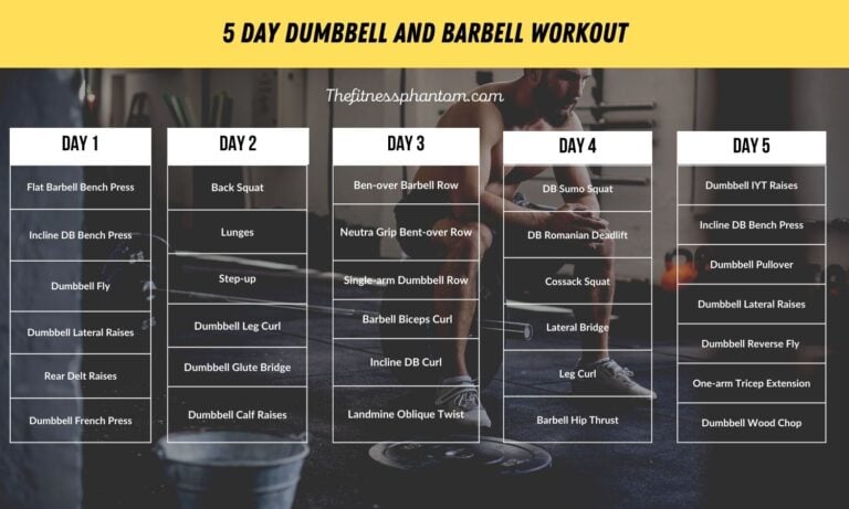 5 Day Dumbbell and Barbell Workout Plan with PDF