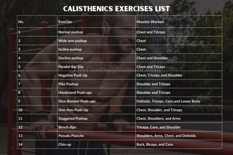 Calisthenics Exercises List for Each Muscle Group w/PDF