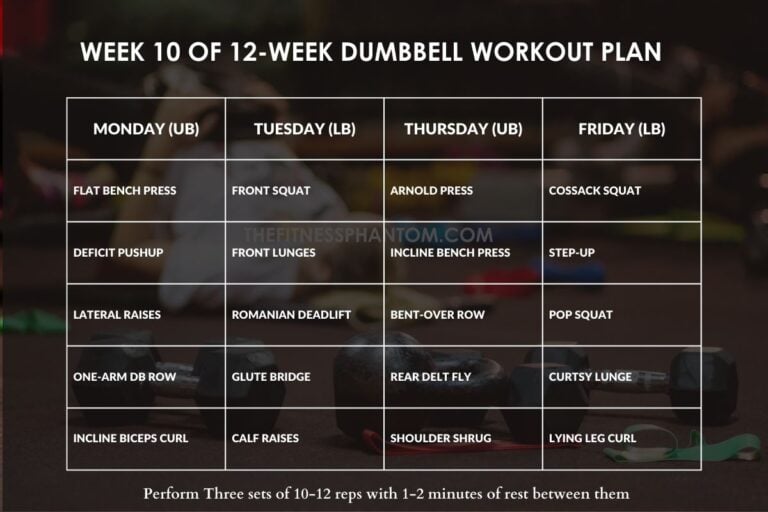Ultimate 12 Week Dumbbell Workout Plan with Free PDF