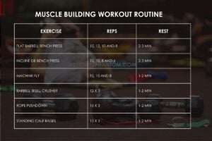 30 Day Muscle Building Workout Plan with Free PDF