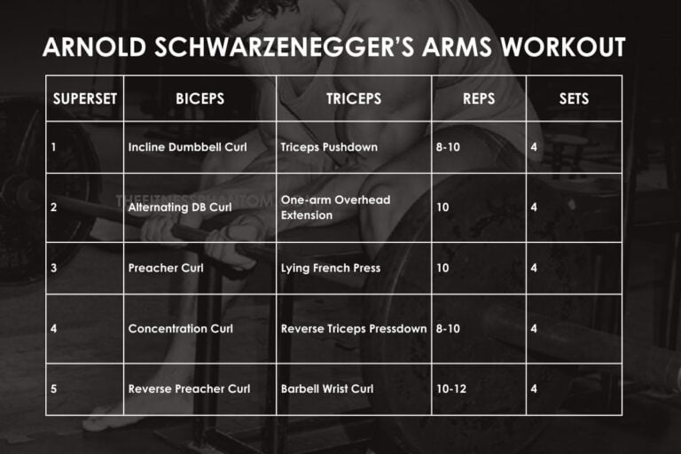 12 Week Arms Workout Routine for Mass Gain (Download PDF)