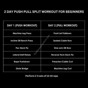2 Day Workout Split for Busy People (Download PDF)