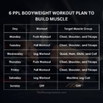 6 Day Bodyweight Push Pull Legs Workout Routine w/PDF