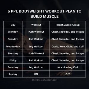 6 Day Bodyweight Push Pull Legs Workout Routine w/PDF
