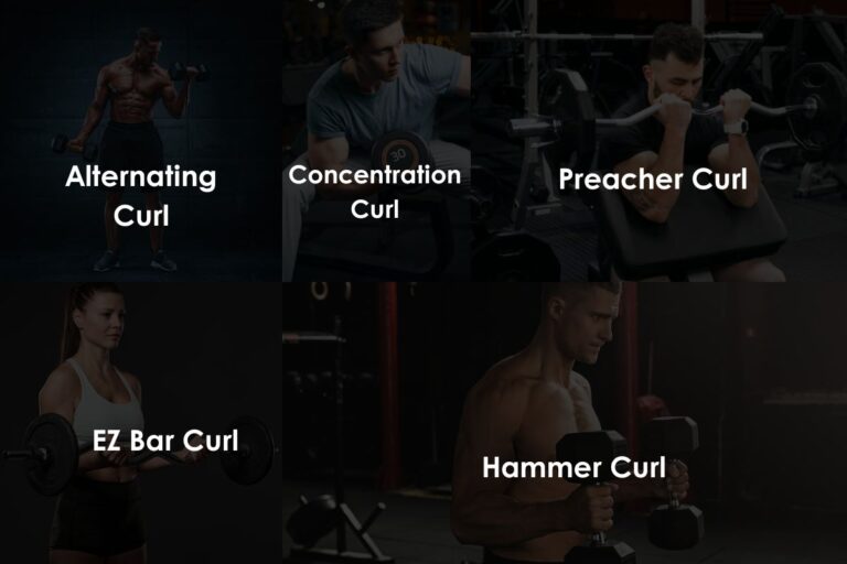 80 Best Free Weight Exercises to Build Muscles w/PDF
