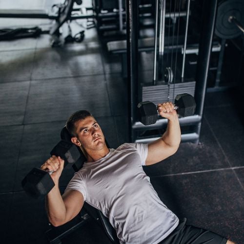 The Fitness Phantom: Free Workout Programs & Fitness Guide