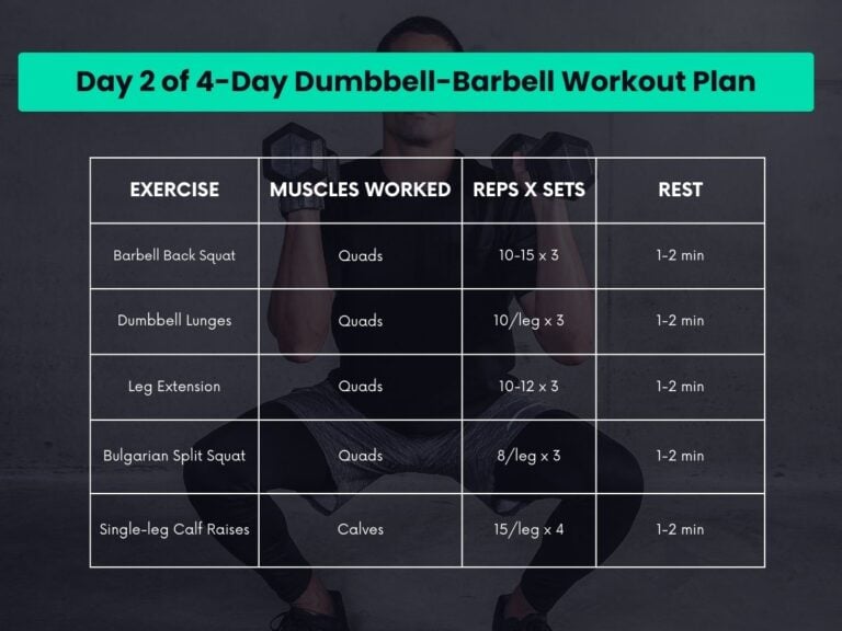 4 Day Dumbbell and Barbell Workout Routine w/ PDF - The Fitness Phantom