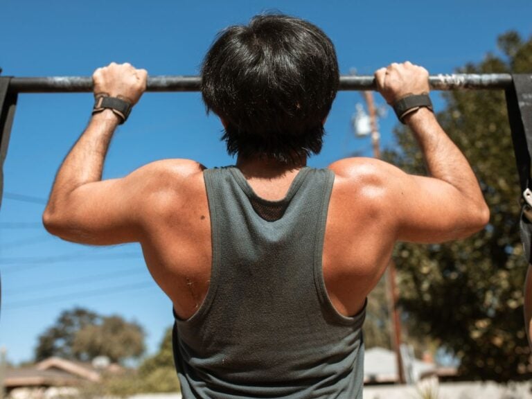 12 Best Calisthenics Pull Exercises to Build Resilience - The Fitness ...