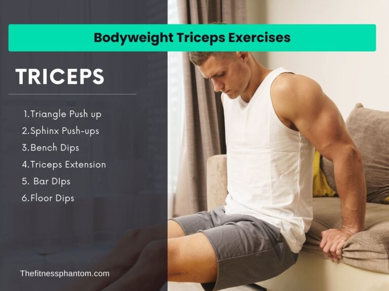 Full List of Bodyweight Exercises by Muscle Group with PDF - The ...