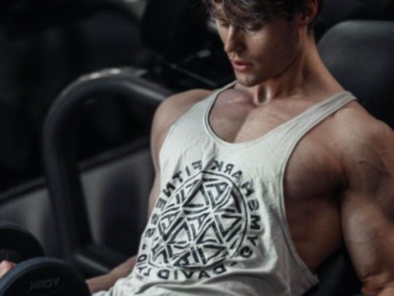 David Laid Workout Plan for Strength & Mass (PDF Included)