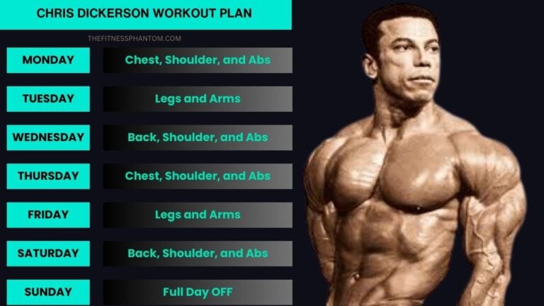 Workout Routines Database: 100+ Free Workout Plans with PDF