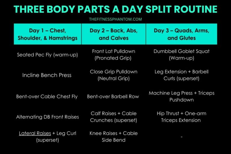 Three Body Parts a Day Split Workout Routine (Free PDF)